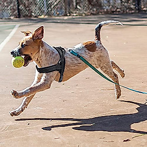 ULTECHNOVO Dog Harness Nylon Dog Vest pet Chest Harness pet Supplies