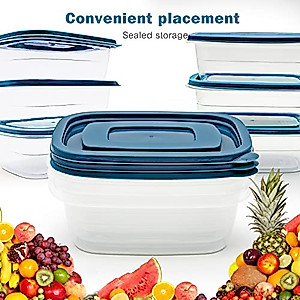 PEDECO 10PCS Rectangle Plastic Portion Box Sets with Lids.Food Storage Box,Container Sets,Food Storage,Food Containers,Plastic Container,use for School,Work and Travel,0.53 Quarts Per Box.