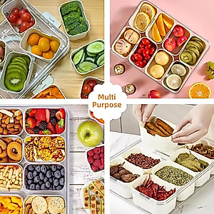 Snack Box Container, Divided Serving Tray with Lid and Handle Snackle Box Container, Snack Organizer for Adults Fruit Tray, Veggie Tray, Perfect for Party, tackle box for snacks