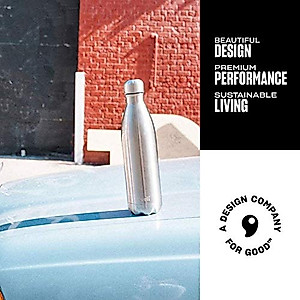 S'well Stainless Steel Water Bottle - 17 Fl Oz - Silver Lining - Triple-Layered Vacuum-Insulated Containers Keeps Drinks Cold for 36 Hours and Hot for 18 - BPA-Free - Perfect for the Go