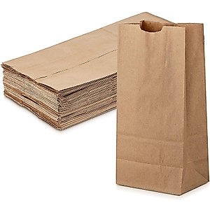 Black Duck Brand Kraft Paper Lunch Bags (30 Bags)