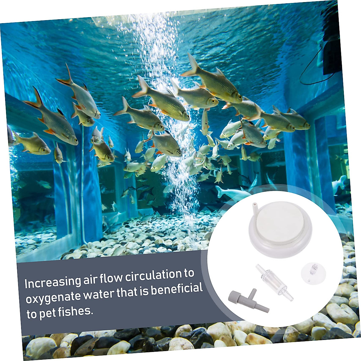 balacoo 3 Sets air Refiner Valve Connector air Check Valve air Tube Connector Fish Tank Fish Tank Pond OUL Diffuser Aerator for Aquarium White Appendix air Pump Plastic