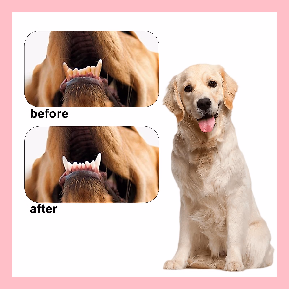 HDFCLUP 4 Pack Pet Dog Toothbrush, Extra Soft Dog & Cat Toothbrushes Dental Cleaning Brushes for Puppy Small Dog and Cat Dogs Teeth Dental Health Kit, White, Pink, Green, Gray