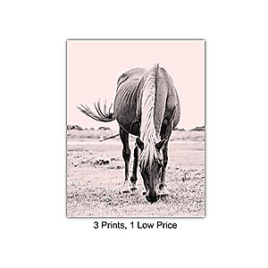 Horse Wall Art - Farmhouse Barn Wall Decor for Girls Bedroom, Office, Living Room - Country Western Boho Shabby Chic Decorations - Gift for Equestrian Women - Pink Pony Poster Set