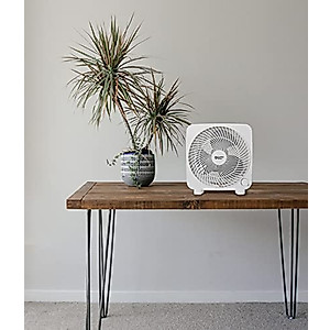 Comfort Zone CZ9BWT Portable 9" 3-Speed Quiet Box Fan for Home, White