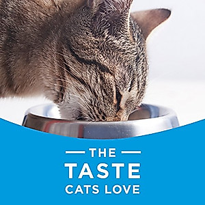 Purina Cat Chow High Protein Dry Cat Food, Complete - 22 lb. Bag