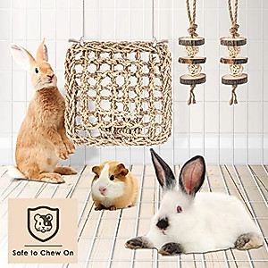 Bissap Seagrass Protector Mat with Treats, Rabbit Chews and Play for Bunny Chinchilla Guinea Pigs or Other Rodent Pets Hanging Chewing Toys