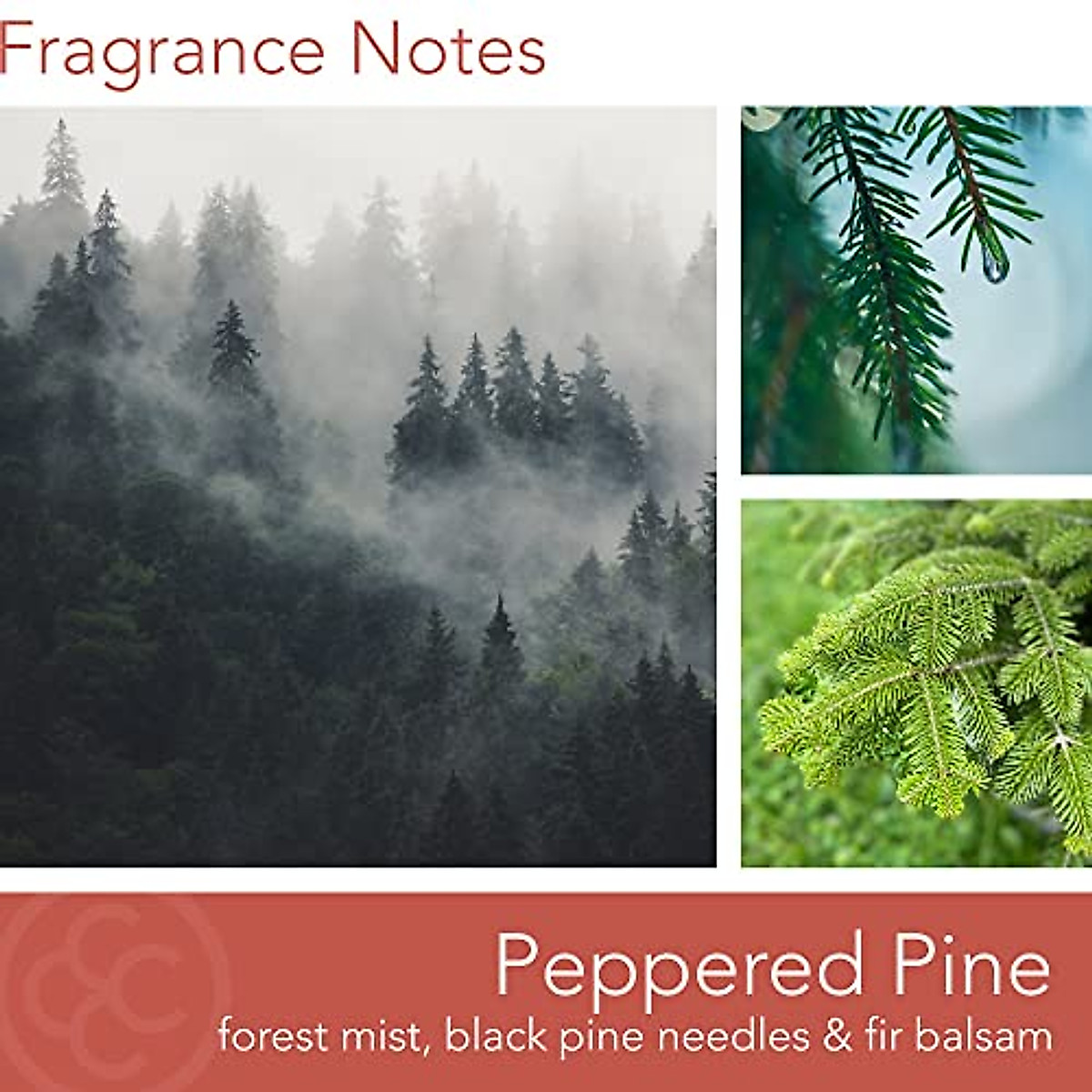 Manly Indulgence Peppered Pine Scented Jar Candle, All American Collection, 2 Wick, Red, 15 oz - Up to 60 Hours Burn