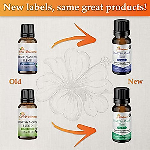 OraWellness Nut Free Healthy Mouth Blend Organic Toothpaste & Mouthwash Alternative Tooth Oil, Natural Mouth Rinse for Healthy Teeth & Gums for Women, Men and Kids, Pack of 1