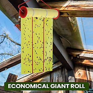 10 Rolls Giant Sticky Fly Traps 30 Feet Fly Strips for Indoor Outdoor Hanging Fly Tapes Non Toxic Fly Ribbon Fruit Fly Gnat Trap Killer for Bug Insect Pest Mosquito Plants House Kitchen Horse Stable