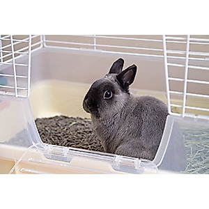 IRIS USA Small Wire Animal House with Top Access, Easy to Clean Cage with Wide Access Drop Down Door for Small-Sized Pets Animals Rabbits Guinea Pigs Rats, Ivory