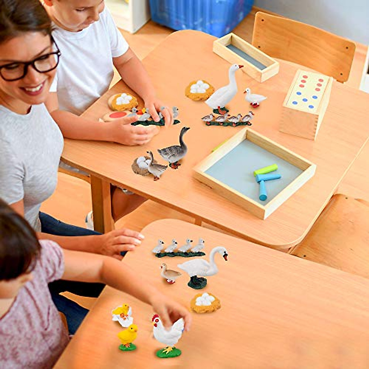 Toymany 16PCS Life Cycle of Goose White Swan Chicken Duck Farm Animals Figures, Plastic Safariology Growth Cycle Eggs Figurines Toy Kit School Project Cake Topper for Kids Toddlers