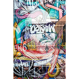 The Artist (Magic Blox)