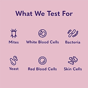 MySimplePetLab Cat Ear Infection Test Kit | Fast and Accurate Detection of Cat Ear Yeast and and Other Ear Irritations | Reliable Mail-in Ear Care Cat Test Kit for Smelly, Itchy, or Sore Ears