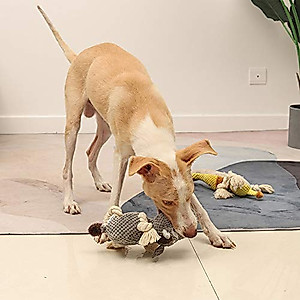 Sedioso Dog Toys, Dog Plush Toy for Large Breed, Cute Squeaky Dog Toys with Crinkle Paper, Dog Chew Toys for Puppy, Small, Middle, Big Dogs (Donkey(Grey))