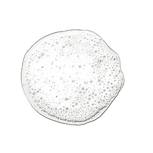 Paul Mitchell Shampoo Two, Clarifying, Removes Buildup, For All Hair Types, Especially Oily Hair, 16.9 fl. oz.