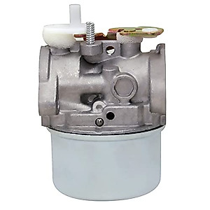 FitBest Carburetor Carb for Briggs & Stratton 499059 497586 w/Gasket and Choke