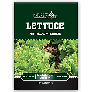 Lettuce Seeds for Planting, Red Romaine Lettuce, Bibb Butter Lettuce, Black Seeded Simpson, Green Ice Iceberg Lettuce, Non-GMO…
