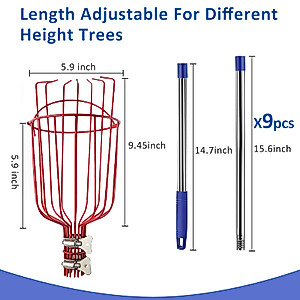 13FT Fruit Picker Pole with Basket Apple Orange Picker Tool Tree Fruit Catcher with Lightweight Stainless Steel Connecting Pole, Sturdy Basket with Foam Pad, Metal Clamp