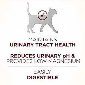 Purina ONE High Protein Dry Cat Food, +Plus Urinary Tract Health Formula - 22 lb. Bag