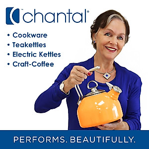 Chantal "Lotus" ceramic pour over coffee dripper, 8 ounces, Fade Grey