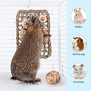 andwe Seagrass Protector Mat with Toys for Rabbit Bunny Chinchilla Guinea Pigs or Other Rodent Pets (11 X 7.87-inch)