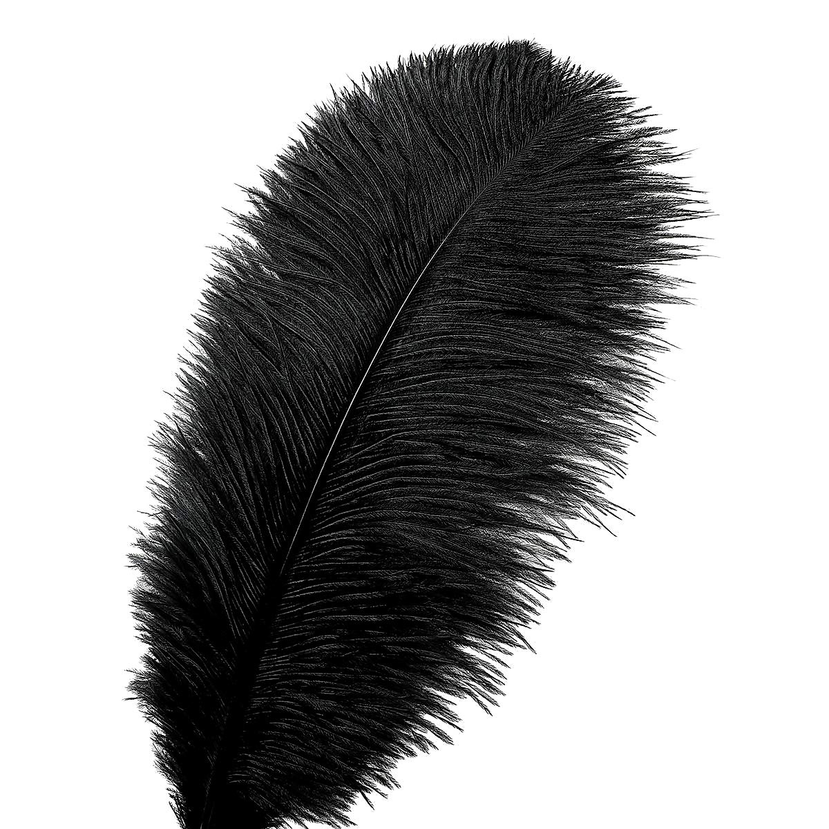 24pcs Natural Black Ostrich Feathers 10-12inch (25-30cm) for Wedding Party Centerpieces，Flower Arrangement and Home Decoration.