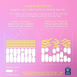 Pacifica Beauty Vegan Ceramide Barrier Repair Extra Gentle Face Wash, Daily Facial Cleanser, Ecezma Association Approved, Safe for Sensitive Skin, Fragrance & Cruelty Free, 5 Fl Oz