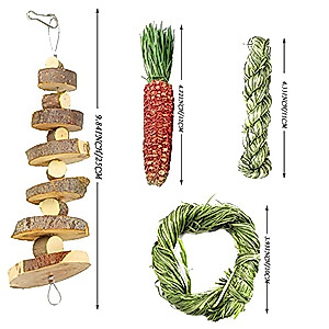DJun Bunny Chew Toys for Teeth Include Natural Apple Branch String Timothy Hay Sticks Timothy Hay Ring Timothy Hay Carrot for Rabbit Rodents Guinea Pigs Chinchilla Hamster (Style 1)