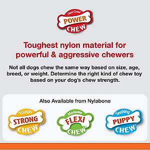 Nylabone Power Chew Marrow Bone Alternative Nylon Chew Toy for Dogs, Dog Toys for Aggressive Chewers, Beef Flavor, Large/Giant (1 Count)