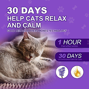 4 Pack Calming Collar for Cats, Cat Collars Efficient Relieve Reduce Anxiety Stress Collar, Cat Calming Collar Kitten Supplies Make Comfortable Relaxed, Lasting 60 Days, Grey