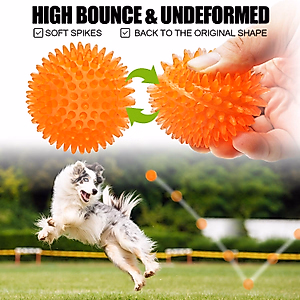 CHLEBEM Dog Balls Squeaky Small Dog Toys Puppy Toys Dog Chew Toy for Small Medium Dogs Interactive Durable Toys Chewing Cleaning Teeth Rubber Dog Ball Pet Teething