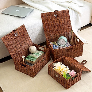 Homepeaz Set of 3 Woven Wicker Storage Basket Box with Lid & Lock, Built-in Carry Handles, Multifunctional Storage Organiser for Nursery, Baby, Clothes, Toys, Books, Large/Medium/Small Size (Natural)