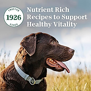 Nutro Natural Choice Adult Dry Dog Food, Salmon & Brown Rice Recipe, 28 lb. Bag