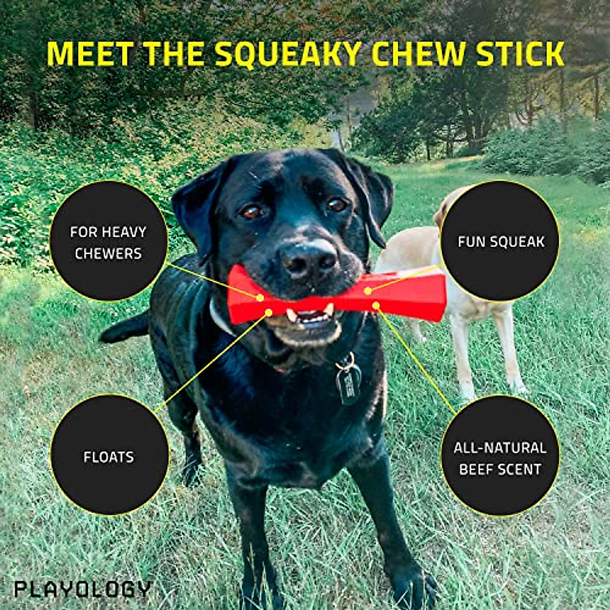 Playology Squeaky Chew Stick Dog Toy, for Large Dogs (35lbs and Up) - for Moderate Chewers - Engaging All-Natural Beef Scented Toy - Non-Toxic Materials