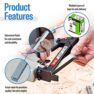 meite 21 Gauge 1/2-Inch Crown with 1/2-Inch Length Upholstery Staples Galvanized Fine Wire Staples Compatible for MT8016 Stapler (10,000 Pcs/Box)