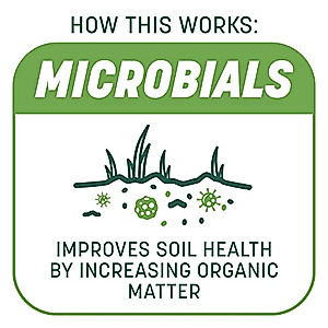 Pennington Smart Patch Tall Fescue Mix 10 lb