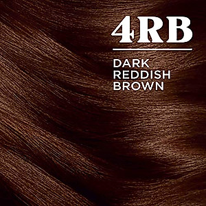 Clairol Nice'n Easy Permanent Hair Dye, 4RB Dark Reddish Brown Hair Color, Pack of 1