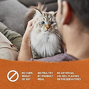 Purina Beyond Grain Free Natural Pate Wet Cat Food Variety Pack, Grain Free Poultry - (2 Packs of 12) 3 oz. Cans