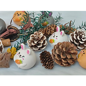 Ai-Fun 6PCS Easter Pull Back Cars Bunny Cars Rabbit Fun Toy Vehicles for Easter Party Favors Animal Car Toddler Toys for Kids 3-8 Years old