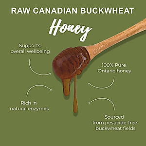 OneRoot Raw Buckwheat Honey - 500g/17.6oz, Unheated, Unfiltered and Unprocessed Natural Dark Honey, Rich in Antioxidants Pure Buckwheat Honey