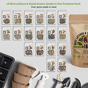 Organo Republic 18 Lettuce & Salad Greens Seeds Variety Pack 9200+ Non-GMO Heirloom Lettuce Seeds for Indoors & Outdoors Garden, Hydroponics, Aerogarden - Arugula, Kale, Spinach, Swiss Chard, Lettuce