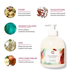 100% PURE Glossy Locks Glossing Shampoo Hair Wash Detox & Hydrate Shine Boosting Dry Dull Damaged Strands Avocado Butter & Seaweed Collagen Natural Care for Women & Men Vegan - 16 Fl Oz