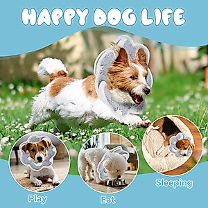 ROYALAY Luminous Soft Dog Cone for Dogs After Surgery, Adjustable Pet Recovery Collar for Large Medium Dogs and Cats, Glow in The Dark for Claming Dog, Pet Cone for Wound Care, Spay, Neuter,L