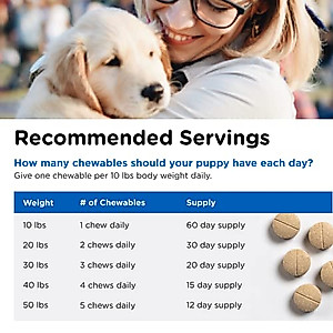 Nutri-Vet Multi-Vite Chewables for Puppies | Formulated with Vitamins & Minerals to Support Balanced Diet | 60 Count