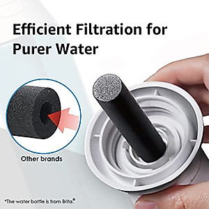 Waterspecialist Water Bottle Filter, Replacement for Brita BB06, Brita Hard Sided, Sport and Stainless Steel Bottle Filter, 5 Count