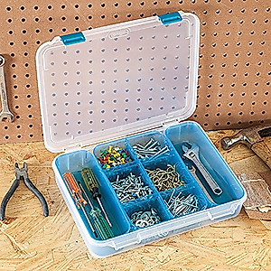 STERILITE Divided Case, Multicolor