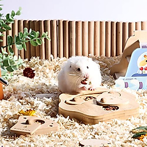 BUCATSTATE Hamster Foraging Toy 2PCS, Bamboo Enrichment Foraging Toy for Small Pet, Interactive Hide Treats Puzzle Game for Guinea Pig, Birds, Rabbits (Paw Shape & Cheese)