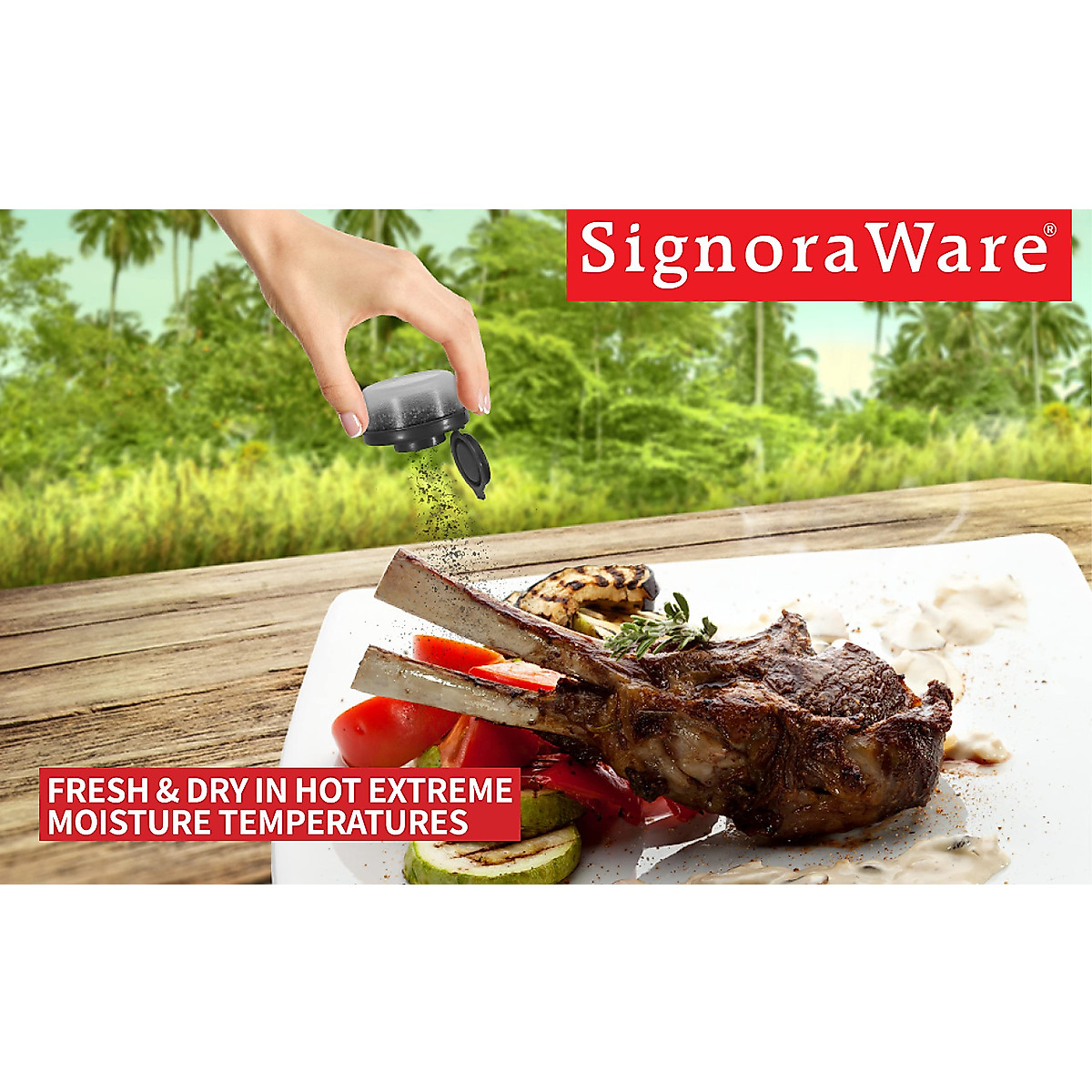 SIGNORAWARE Salt and Pepper Shakers Moisture Proof Set of 2 Small Mini Salt Shaker to go Camping Picnic Outdoors Kitchen Lunch Boxes Travel Spice set Clear with Black Covers Plastic Airtight Dispenser