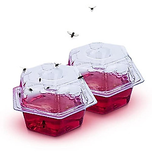 GREENSTRIKE 2-PACK Premium Fruit Fly Traps For Indoors | 2 Pre-Filled Lures Effectively Trap Flies Indoors | Easy Effective and Safe to Use | Food-Based Lure/Bait Catcher | Red